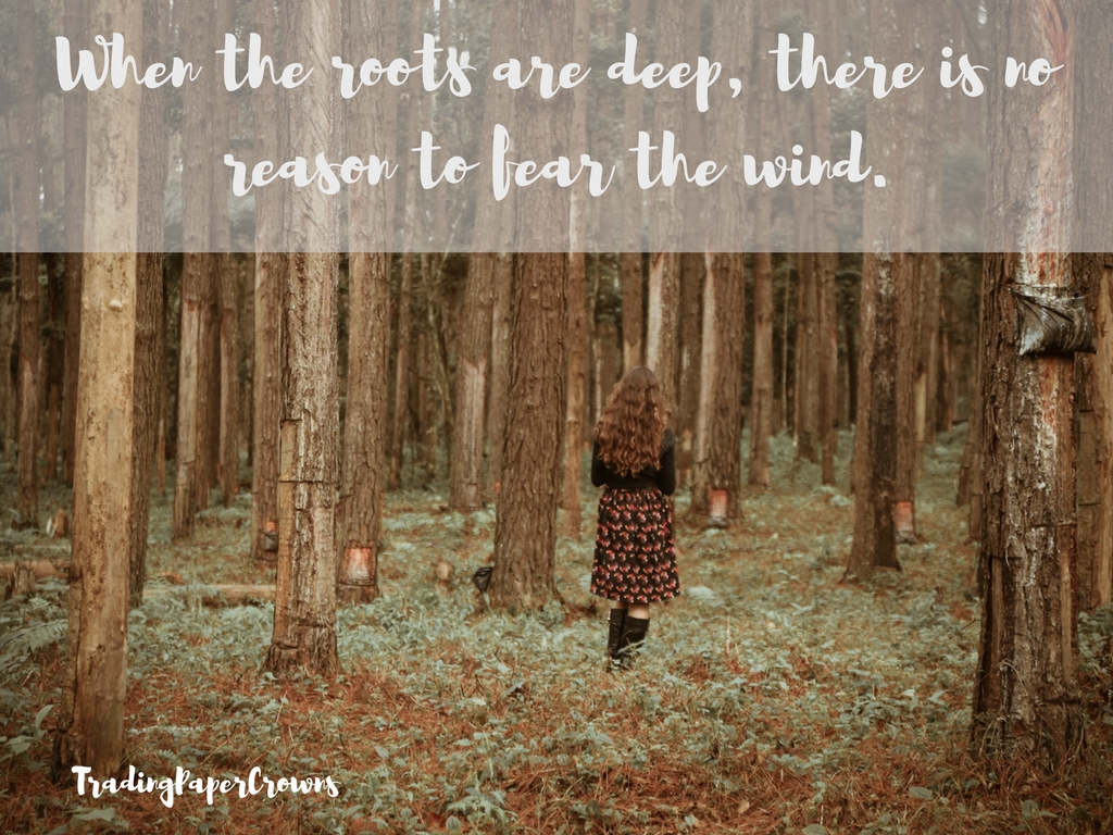 When The Roots Are Deep, There Is No Reason To Fear The Wind – Trading ...